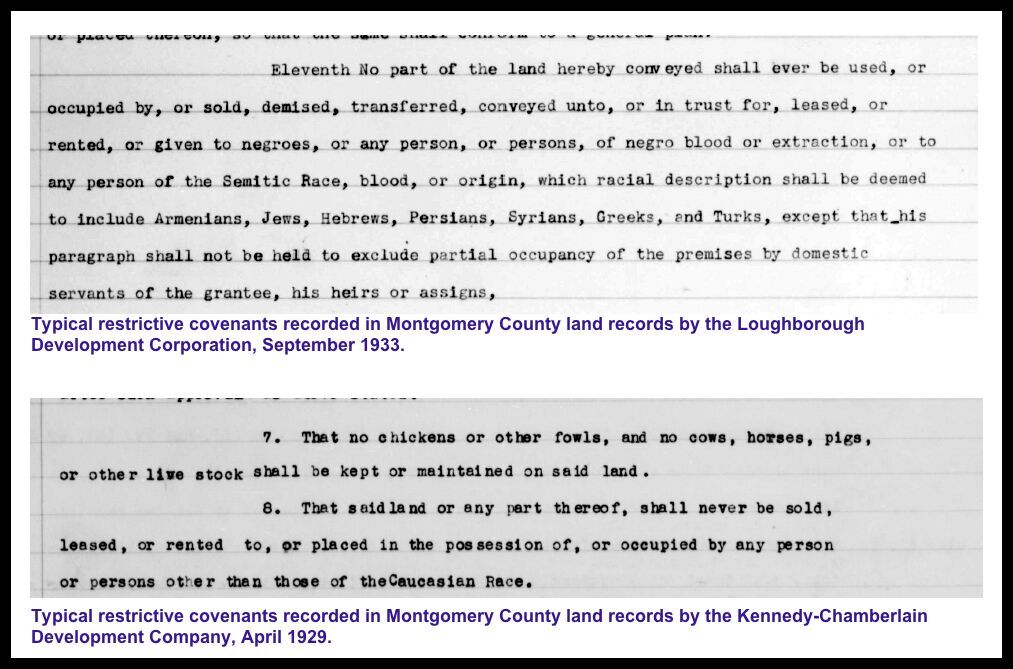 The Moses Cemetery: Where Serial Displacement Meets History – The ...