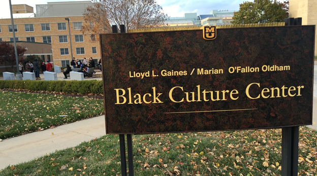 “Still I Rise”: From the Basement to Beyond; How Marginalized Members ...